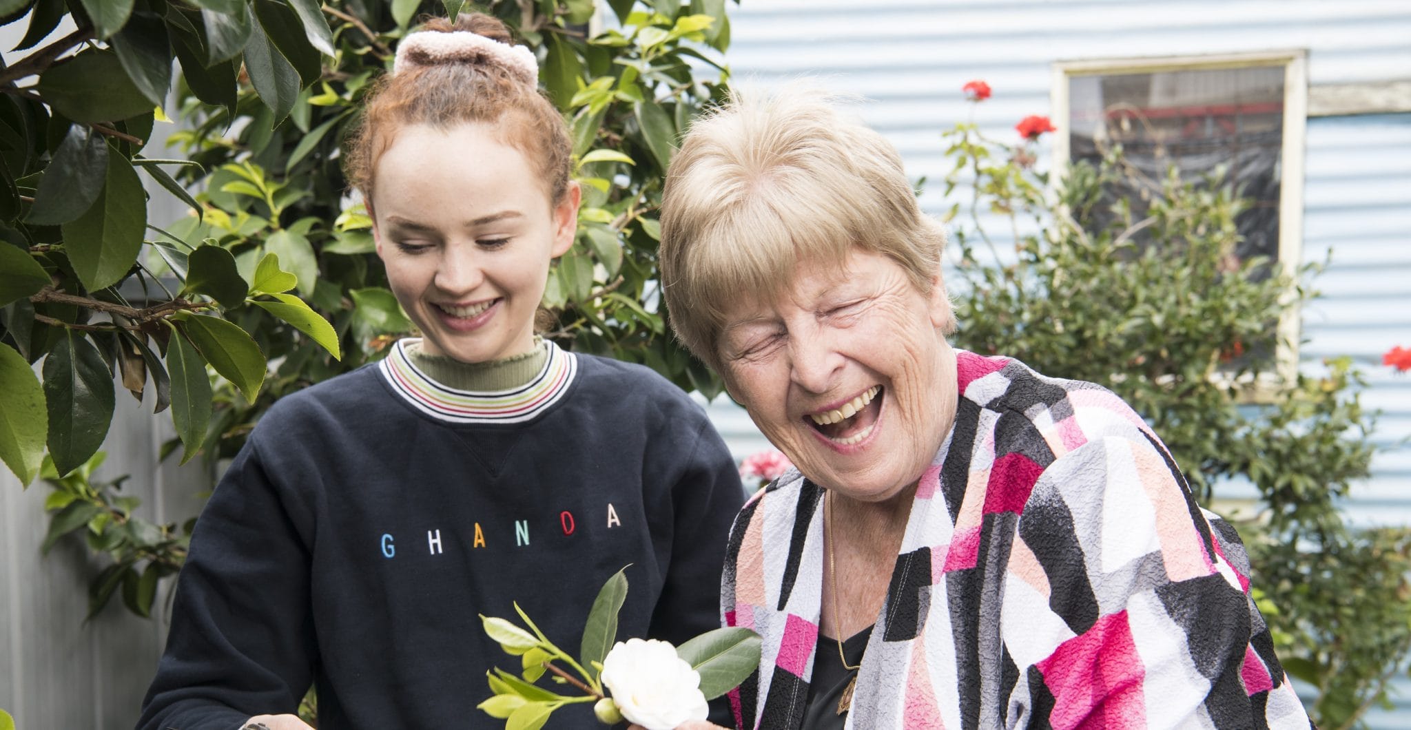Agnes Homepage - Agnes - Re-imagining Ageing